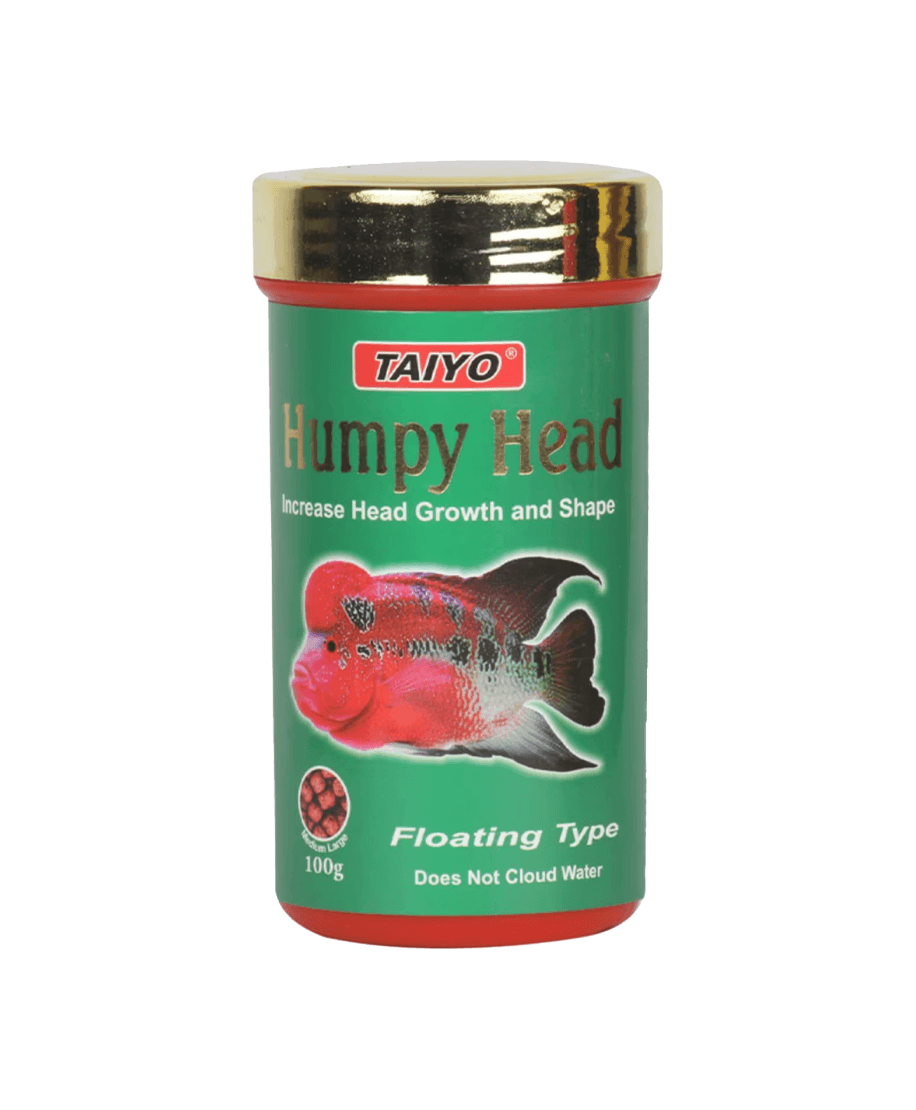 Humpy Head – naughtymars